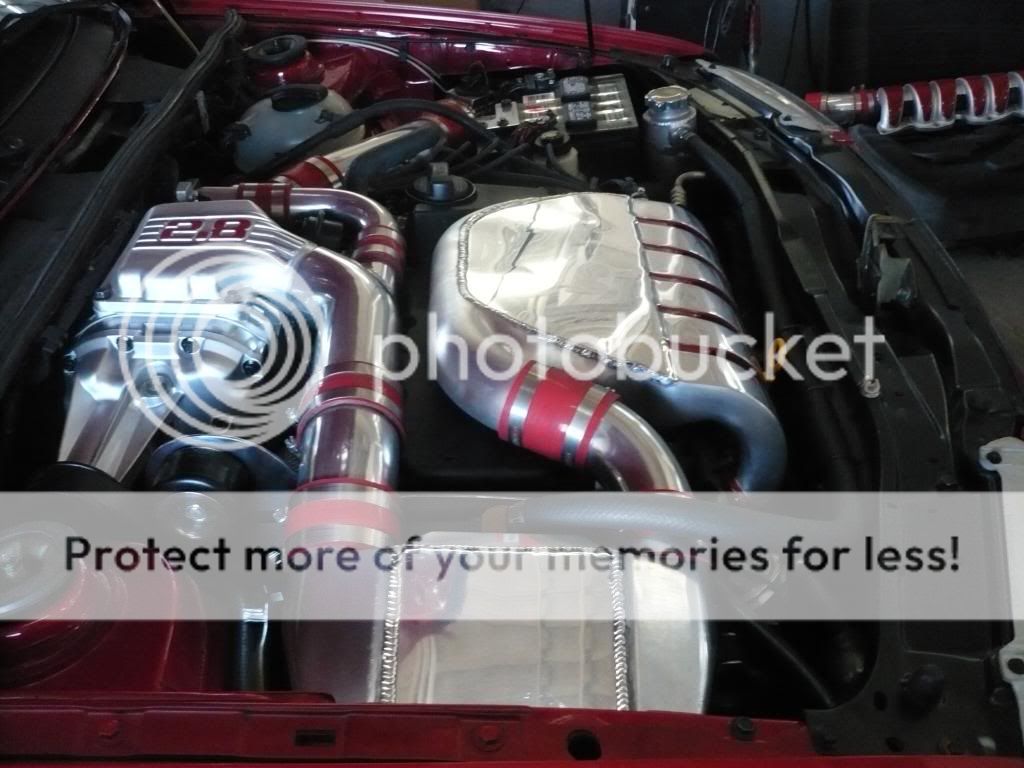 Show me your VR6 short runner intakes | Page 29 | VW Vortex ...