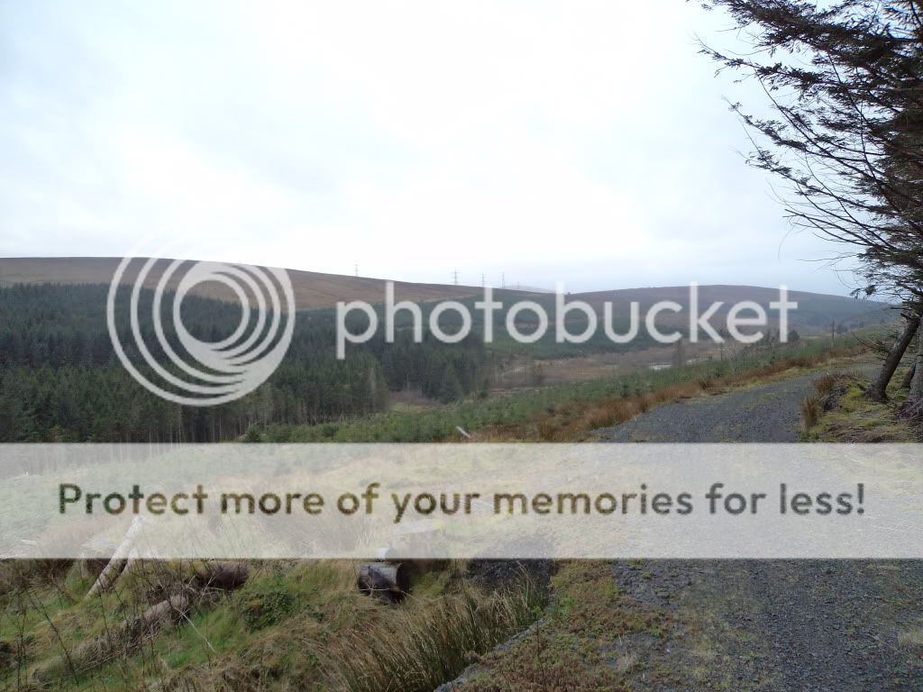 Banagher Forest Norther Ireland day hike | BladeForums.com