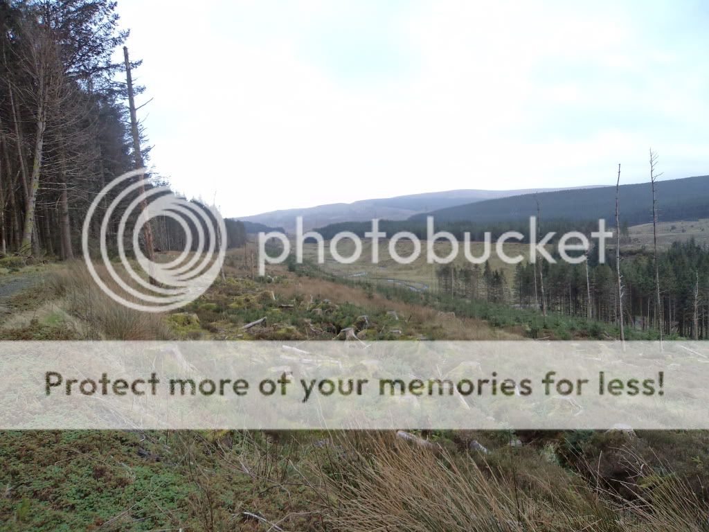 Banagher Forest Norther Ireland day hike | BladeForums.com