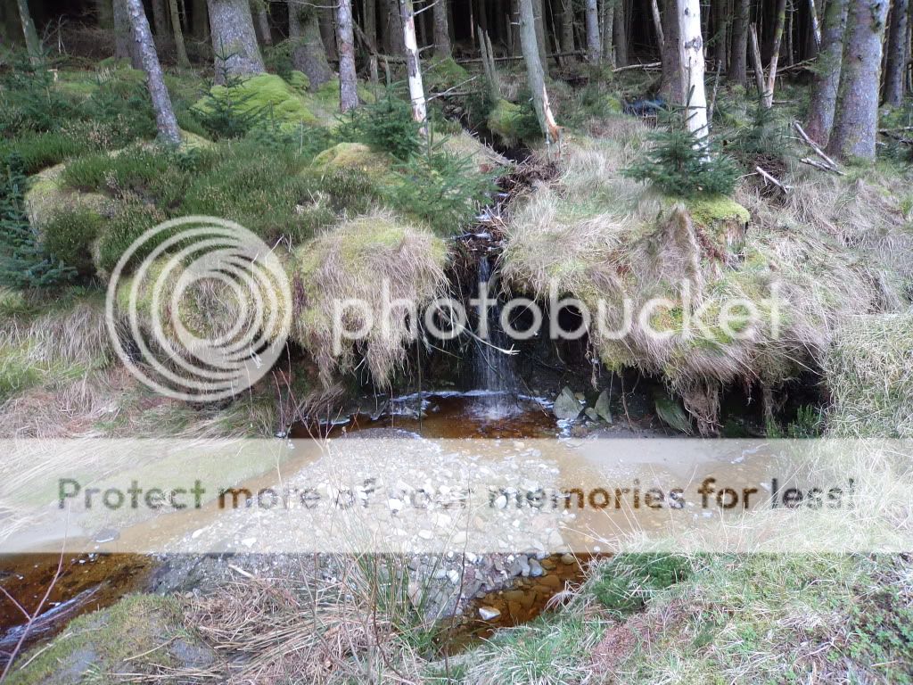 Banagher Forest Norther Ireland day hike | BladeForums.com