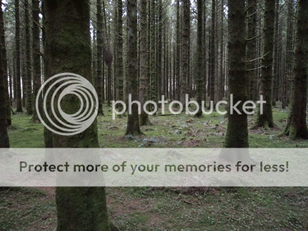 Banagher Forest Norther Ireland day hike | BladeForums.com